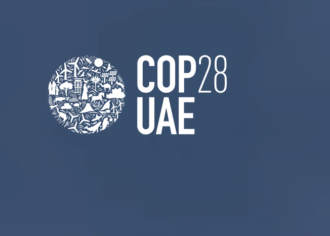 A beginner’s guide to COP28 – Dubai, 30 November – 12 December ...