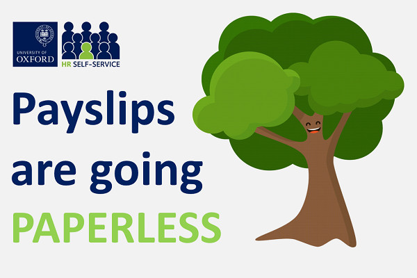 Paperless initiatives going live in June | Sustainability