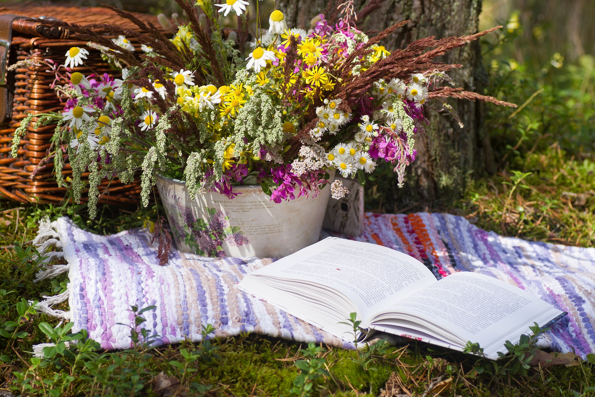 Summer Sustainability Checklist | Sustainability