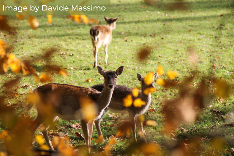 Sustainability Photographer of the Year 2023 | Sustainability