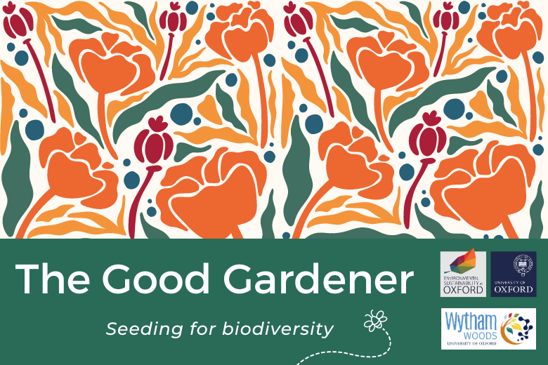 The Good Gardener – end of seeding | Sustainability